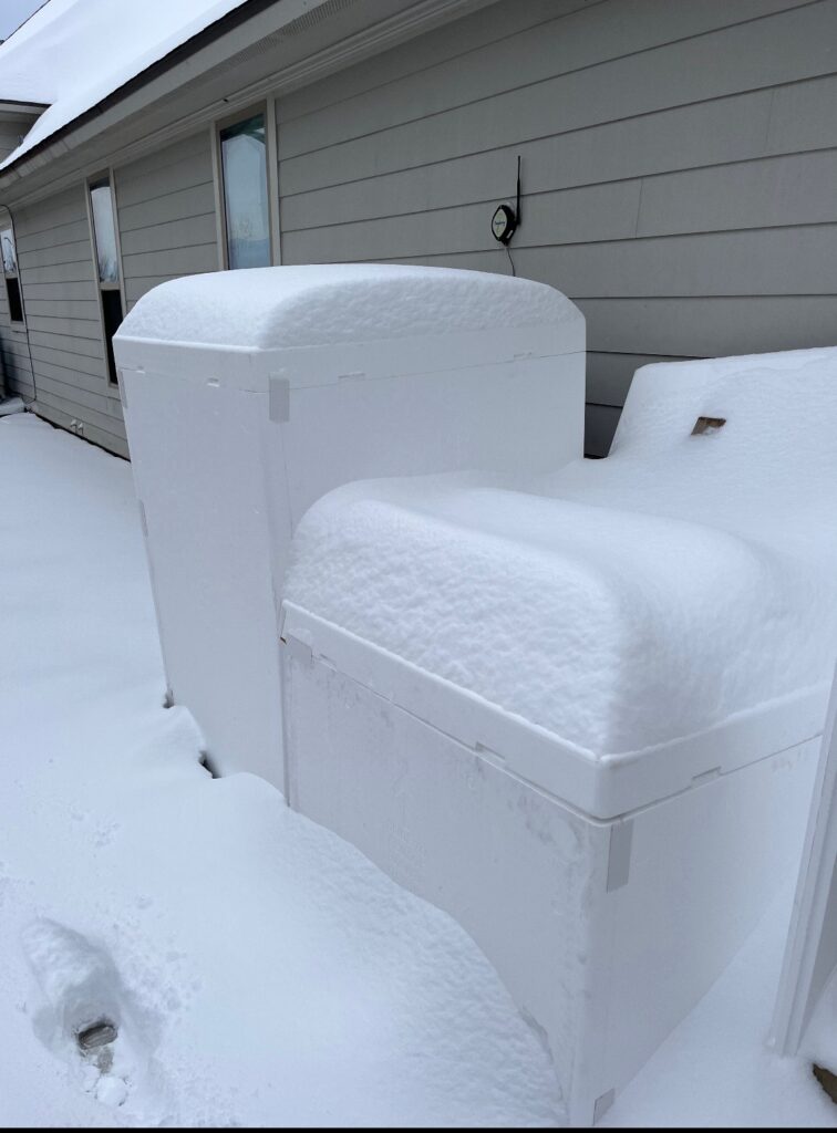 Extra Large Styrofoam Cooler Helps in Florida Snowstorm! - Loboy ...